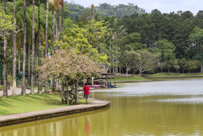 OCP nos bairros: mais que ponto turístico, Parque Malwee forma bairro ...