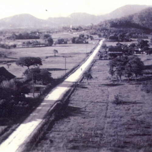Conheça a história da cidade de Schroeder - OCP News | As melhores ...