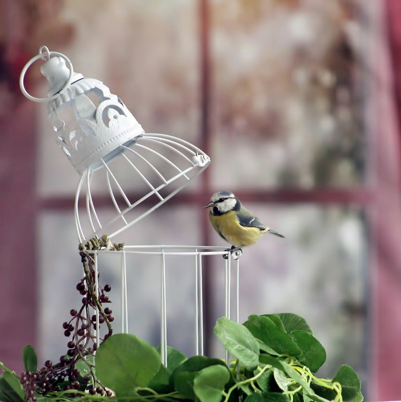 O que falta para o Brasil deixar de ser aquele país do "futuro que não ...