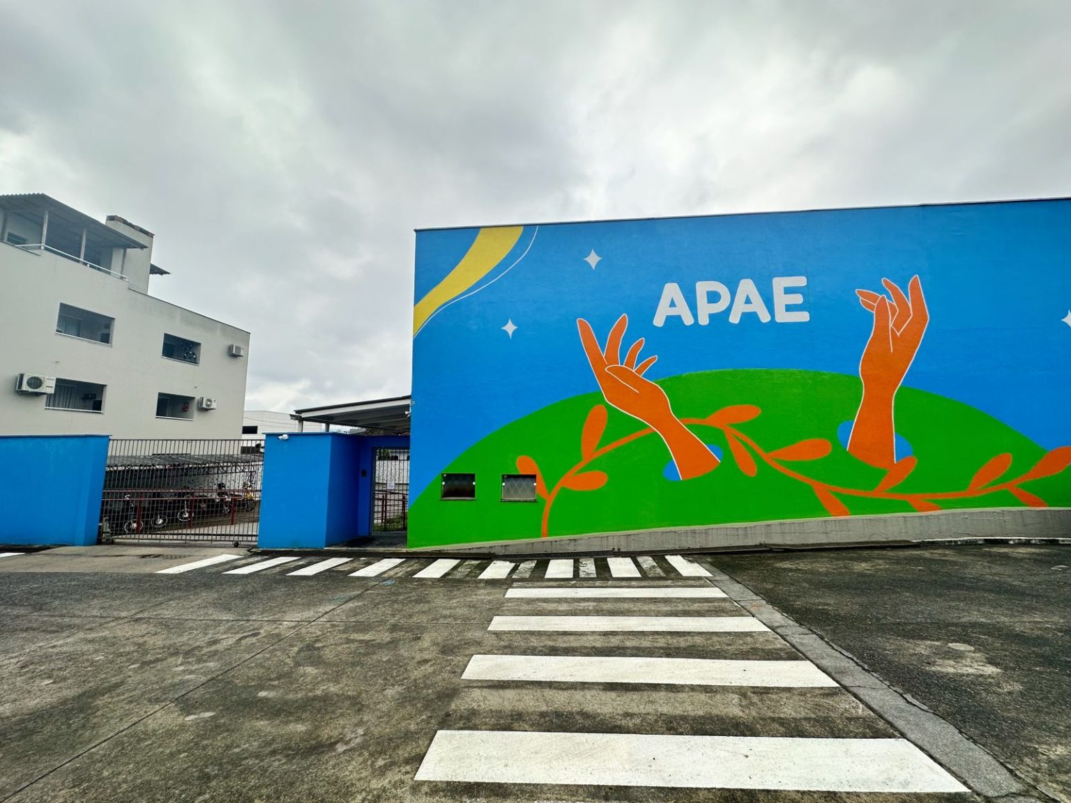 Apae de Jaraguá do Sul: 50 anos de inclusão e transformação - OCP News ...